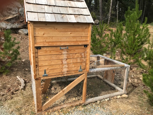 Kristian-Cloutier-Chicken-Coop-1-1 – The Tool Corner